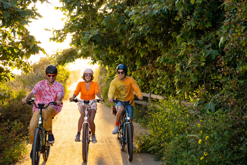 Bike Rentals | Bike Sultan Palm Beach Gardens Bike Rentals & Service