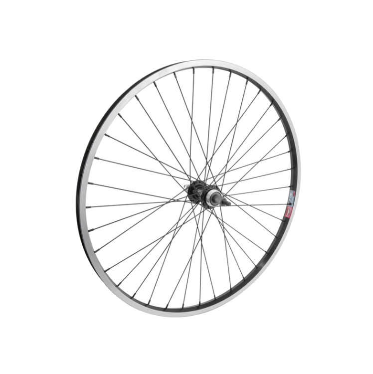 WHEELS | Bike Sultan Palm Beach Gardens Bike Rentals & Service