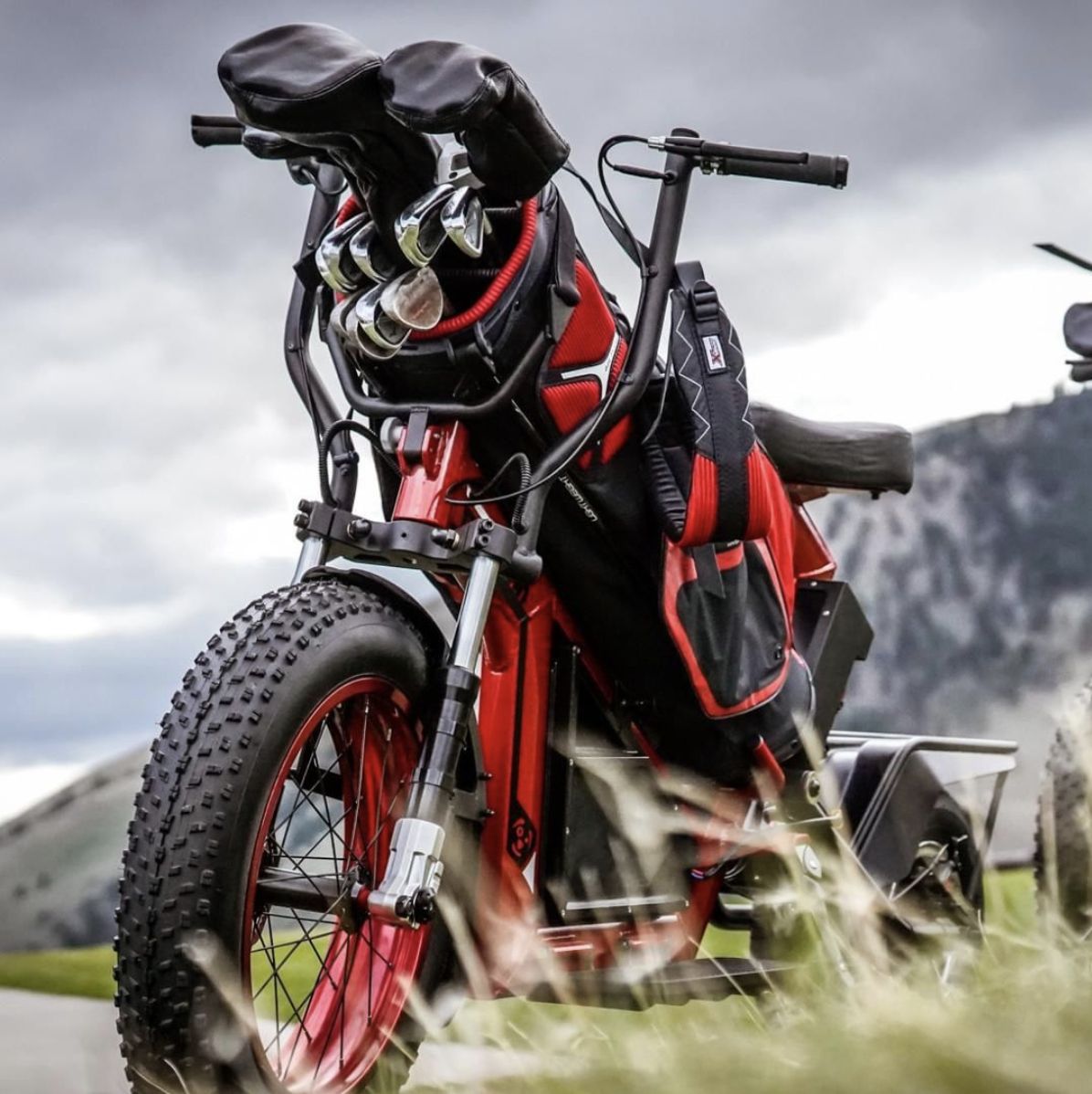 GOLF SCOOTERS | Bike Sultan Palm Beach Gardens Bike Rentals & Service