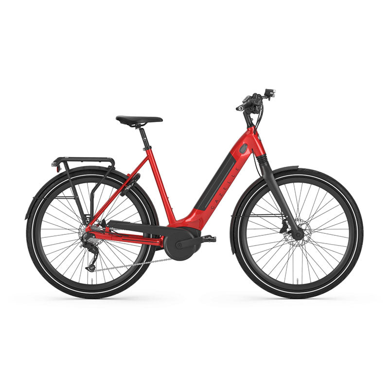 ELECTRIC BIKES & SCOOTERS | Bike Sultan Palm Beach Gardens Bike Rentals ...